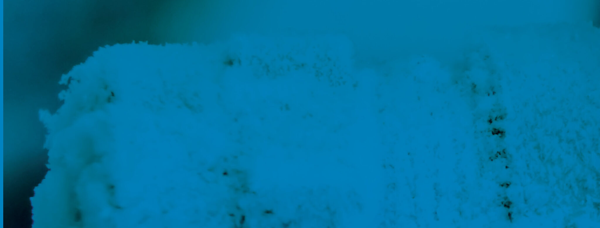 CLS » Compression Leasing Services